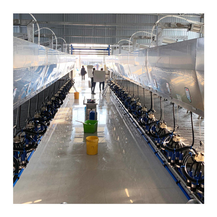 tipe rilis cepat ISO9001 Abreast Milking Parlor dengan Pengukuran ...
